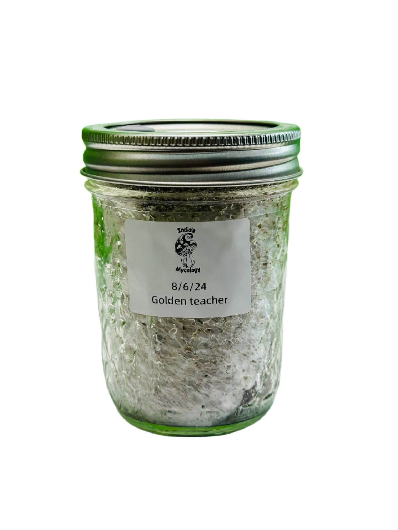 Colonized PF Tek Jar – Desert Bloom Gardening and Hydroponics